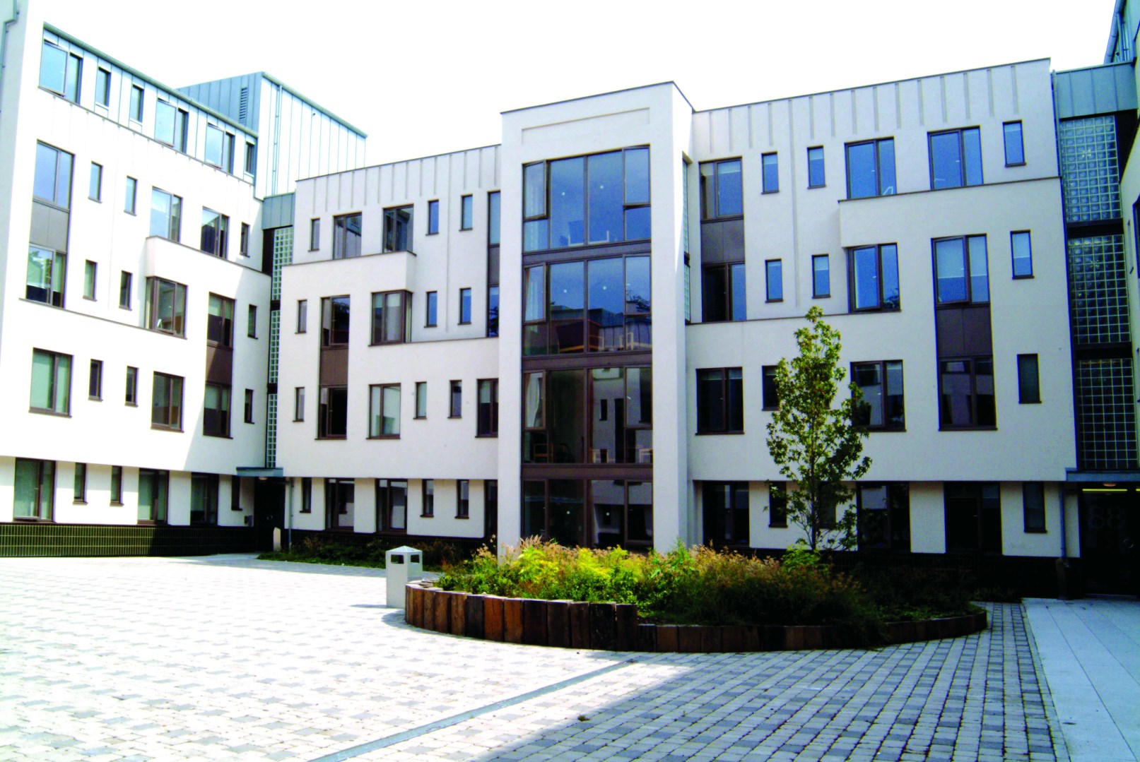 Dublin Yaz Okulları